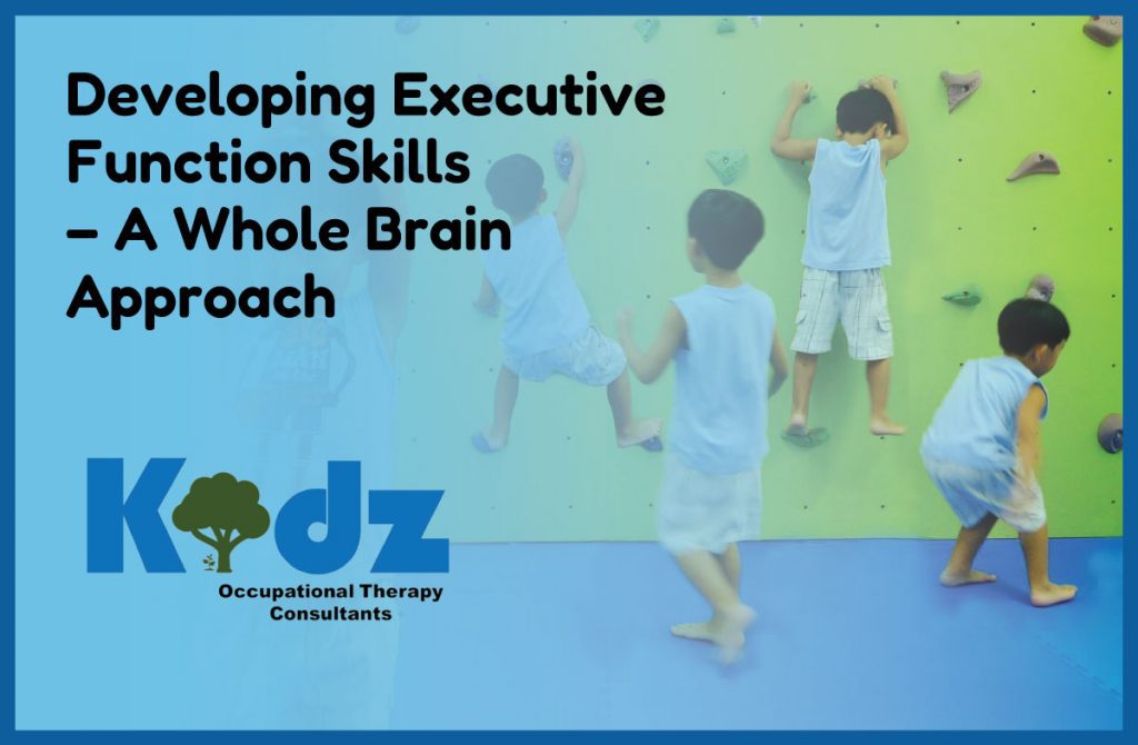 Developing Executive Function Skills – A Whole Brain Approach – Kidz ...